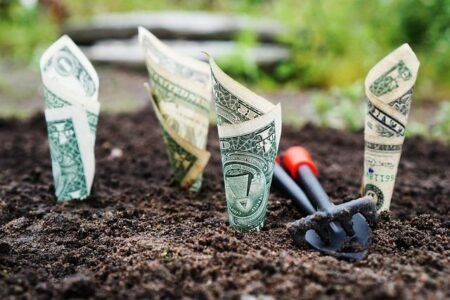 Evaluating High-Yield Savings Account Apps: Features & Benefits ...